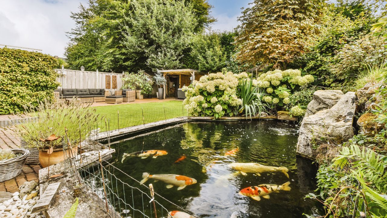 10 Above-Ground Pond Ideas for Koi, Fish & Turtles You’ll Love