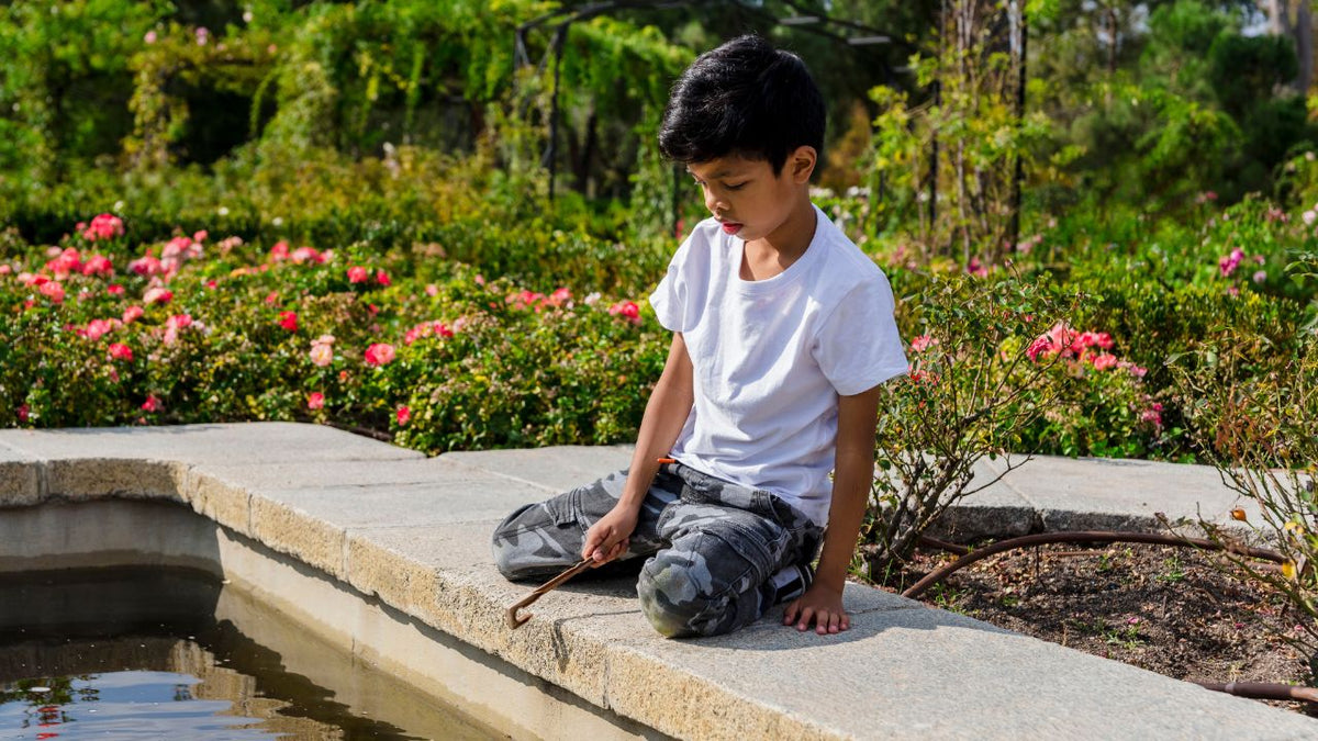 Backyard Pond for Kids: A Fun & Educational Outdoor Classroom – Poposoap