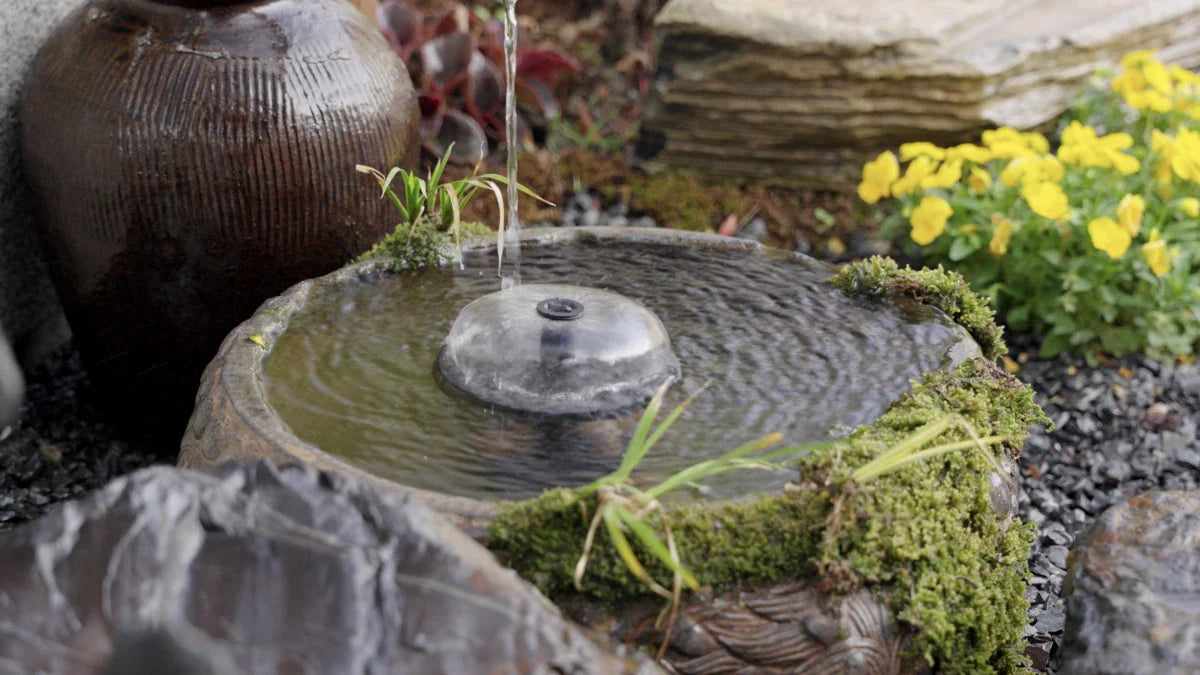 Top 5 Bird-Friendly Pond Designs | Small Yard Garden Pond Ideas