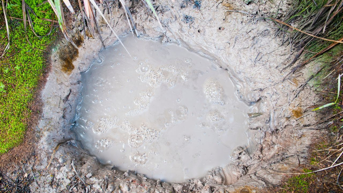 How to Clean Muck from the Bottom of a Pond: Easy Cleaning Tips – Poposoap