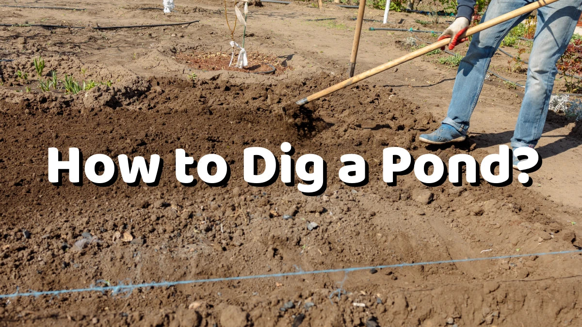 How to Dig a Pond: Step-by-Step Pond Excavation Guide