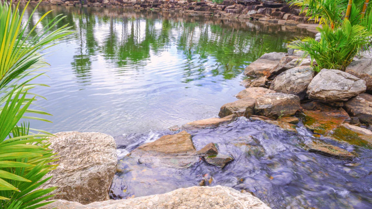 How to Level a Pond and Control Water Overflow