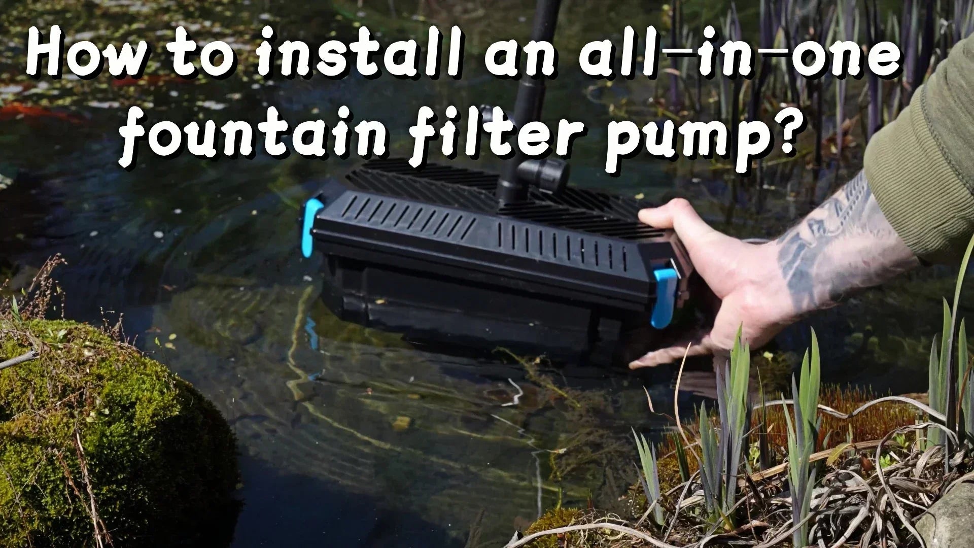 How to Install a Pond Filter Fountain Pump – Full DIY Guide