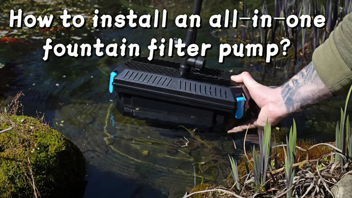 How to Install a Pond Filter Fountain Pump – Full DIY Guide