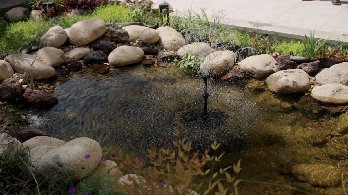 UV Pond Filter Science | How UV Clarifiers & Sterilizers Work