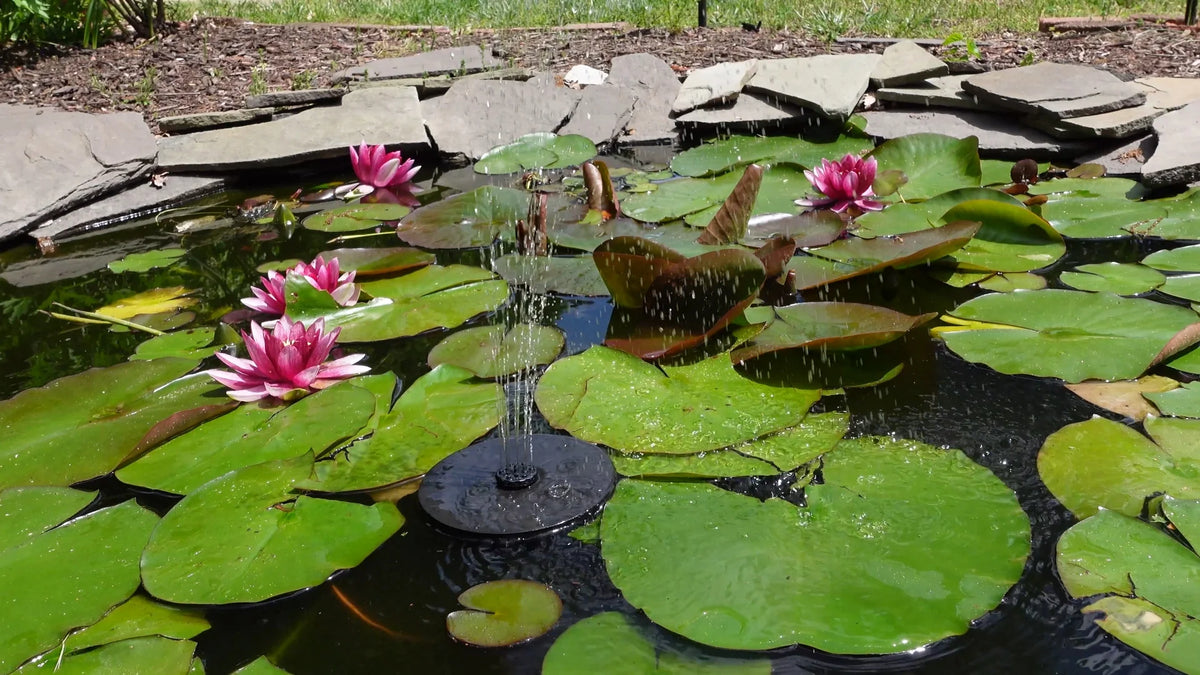 Top Pond Decorating Ideas for a Beautiful Water Garden