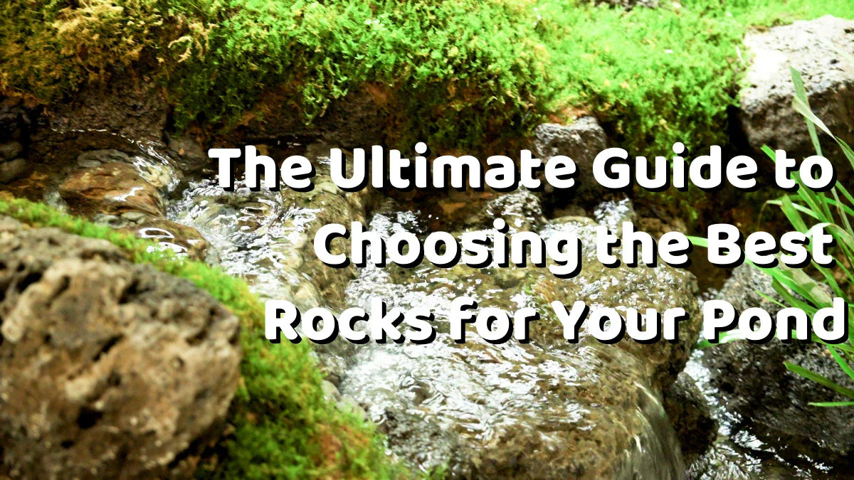 Best Rocks for Ponds: How to Choose Stones for Edging & Design