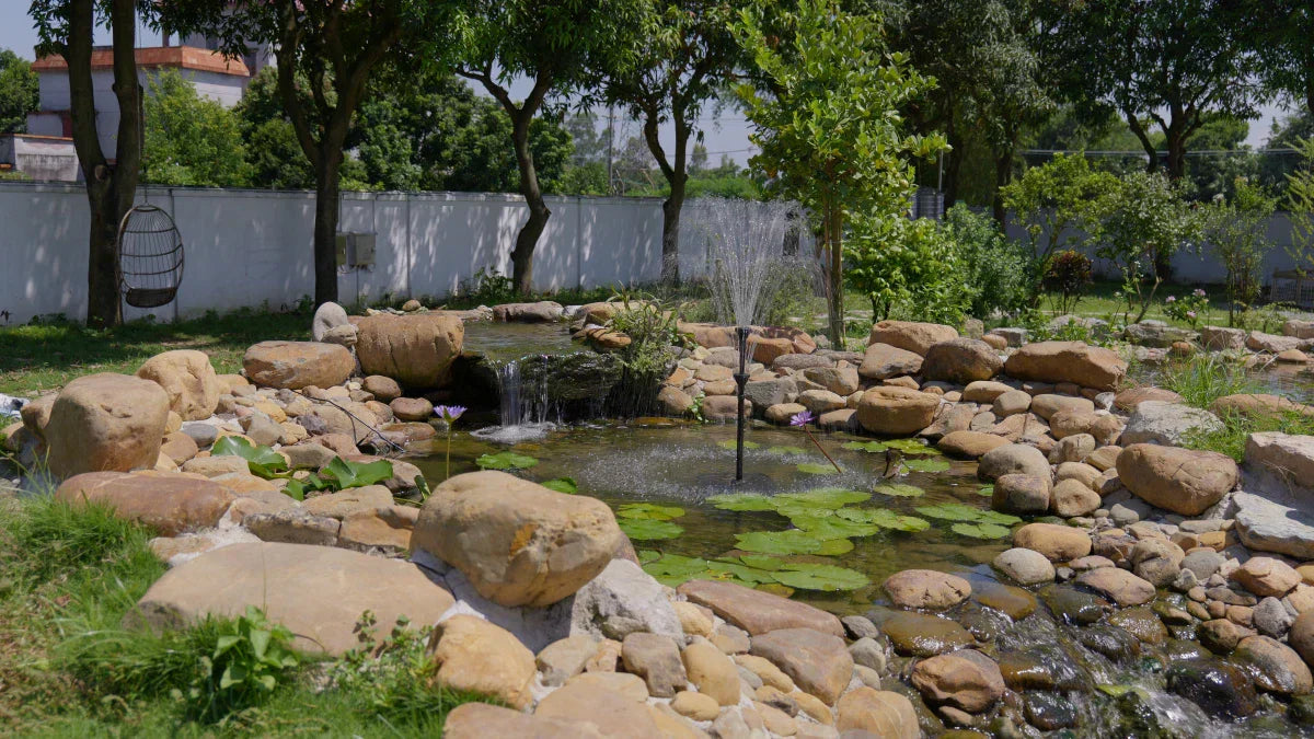 5 Must-Have Features of the Best Pond Filter System