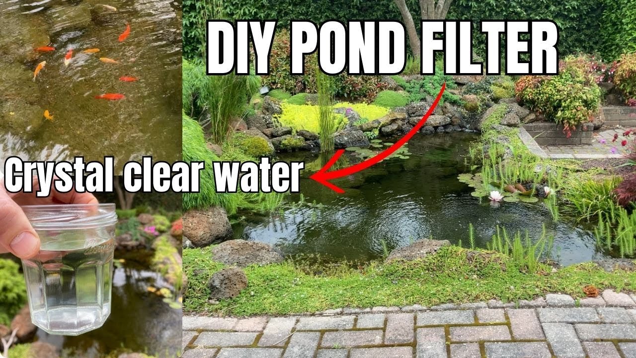 DIY Bog Filter for Pond: Build Your Own Natural Filtration System