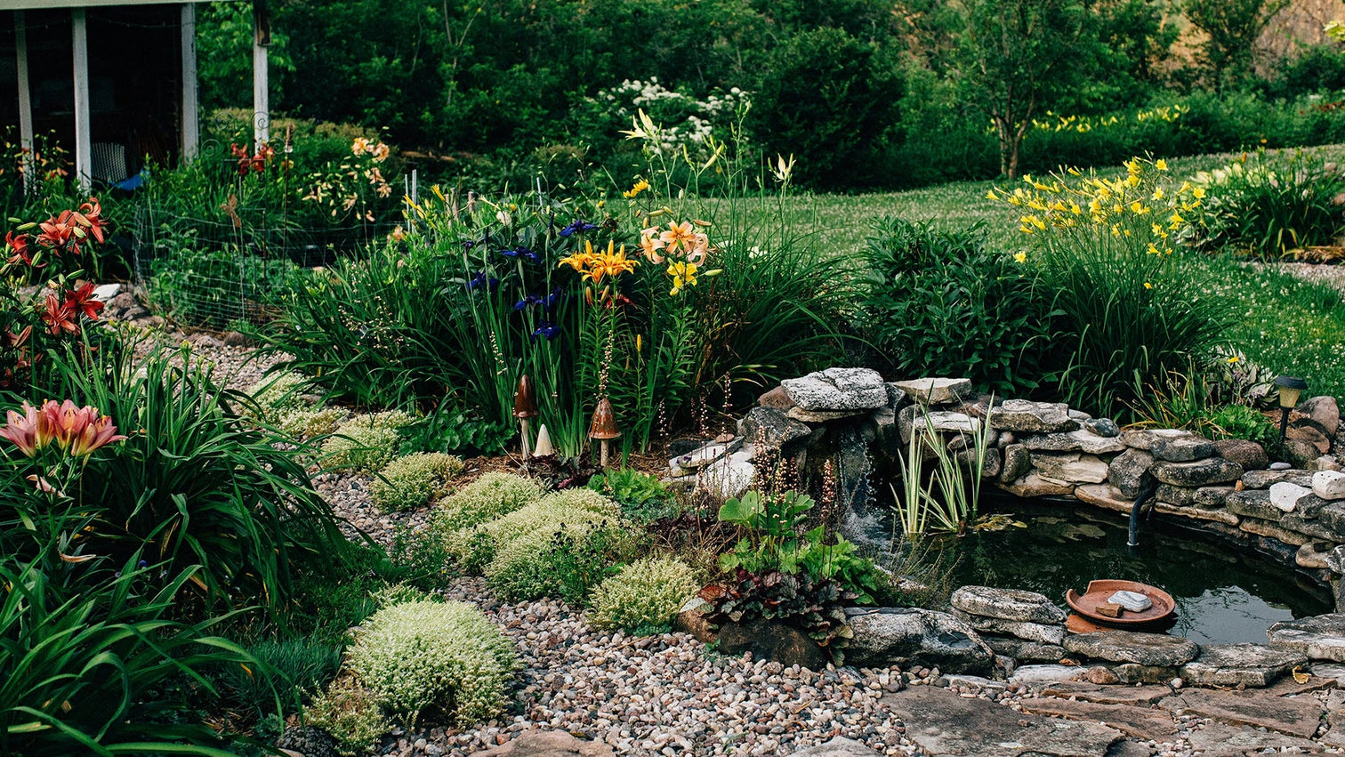Kid-Safe Pond Design | Family-Friendly Water Garden Tips
