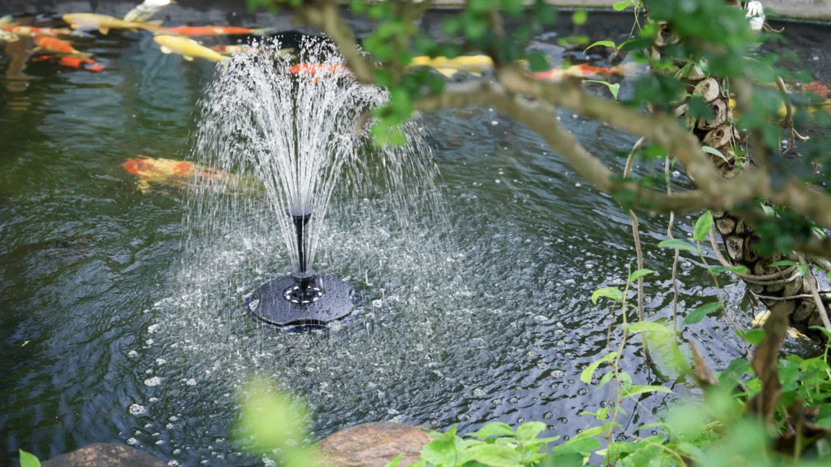 Pond Equipment Guide: What You Need & Why It Matters