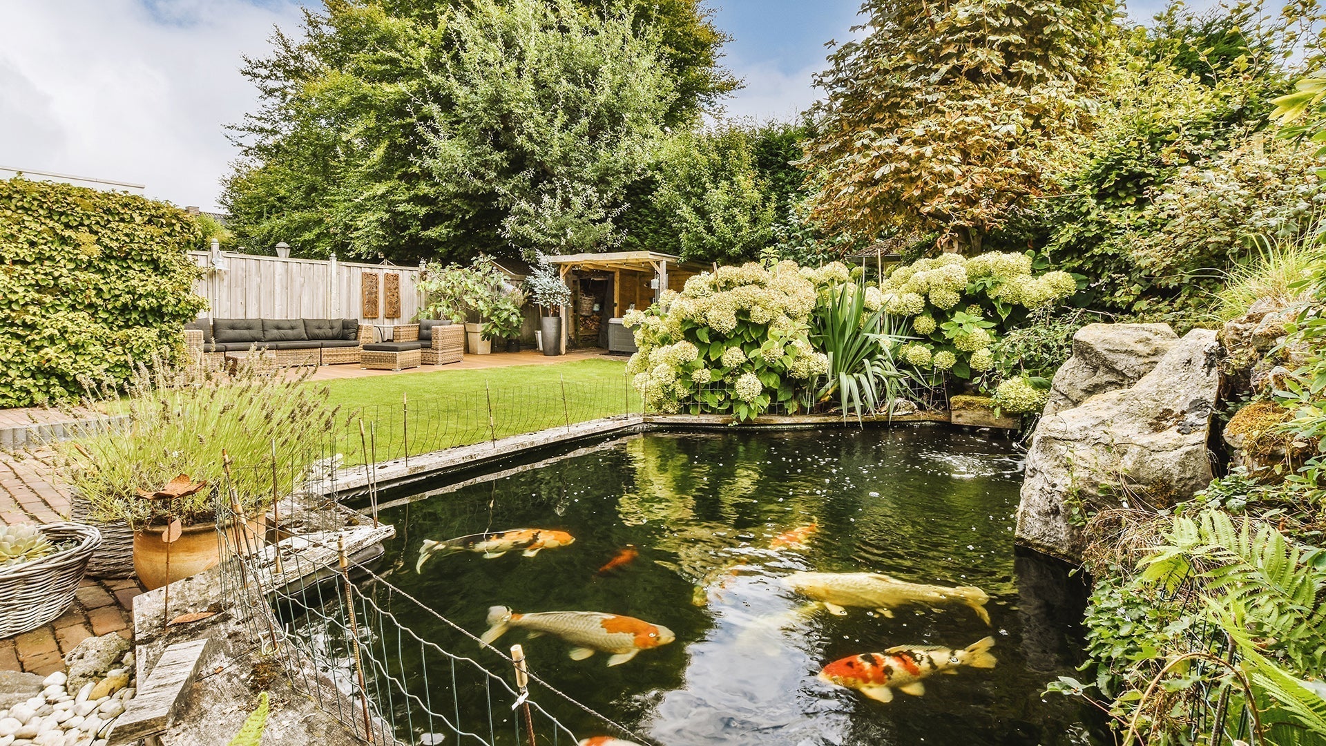 Pond Shape Ideas | Garden Pond Design Guide for Every Style