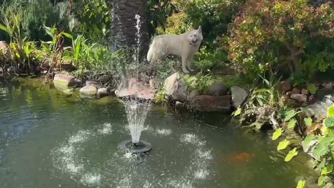 How to DIY a Mini Water Feature with Poposoap Floating Solar Water Fou