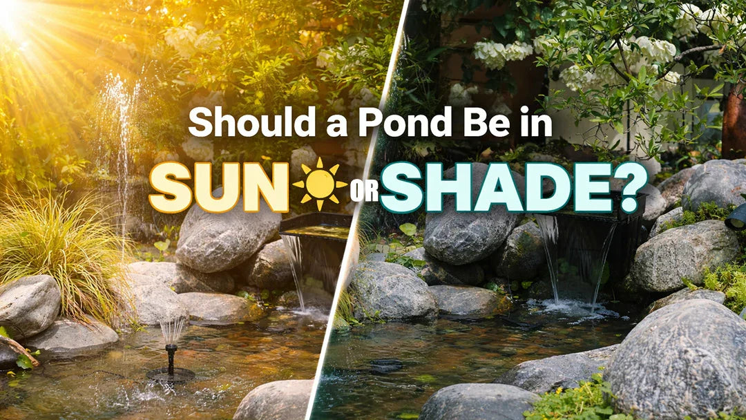 Sun or Shade for a Pond? Best Light Balance for Healthy Water
