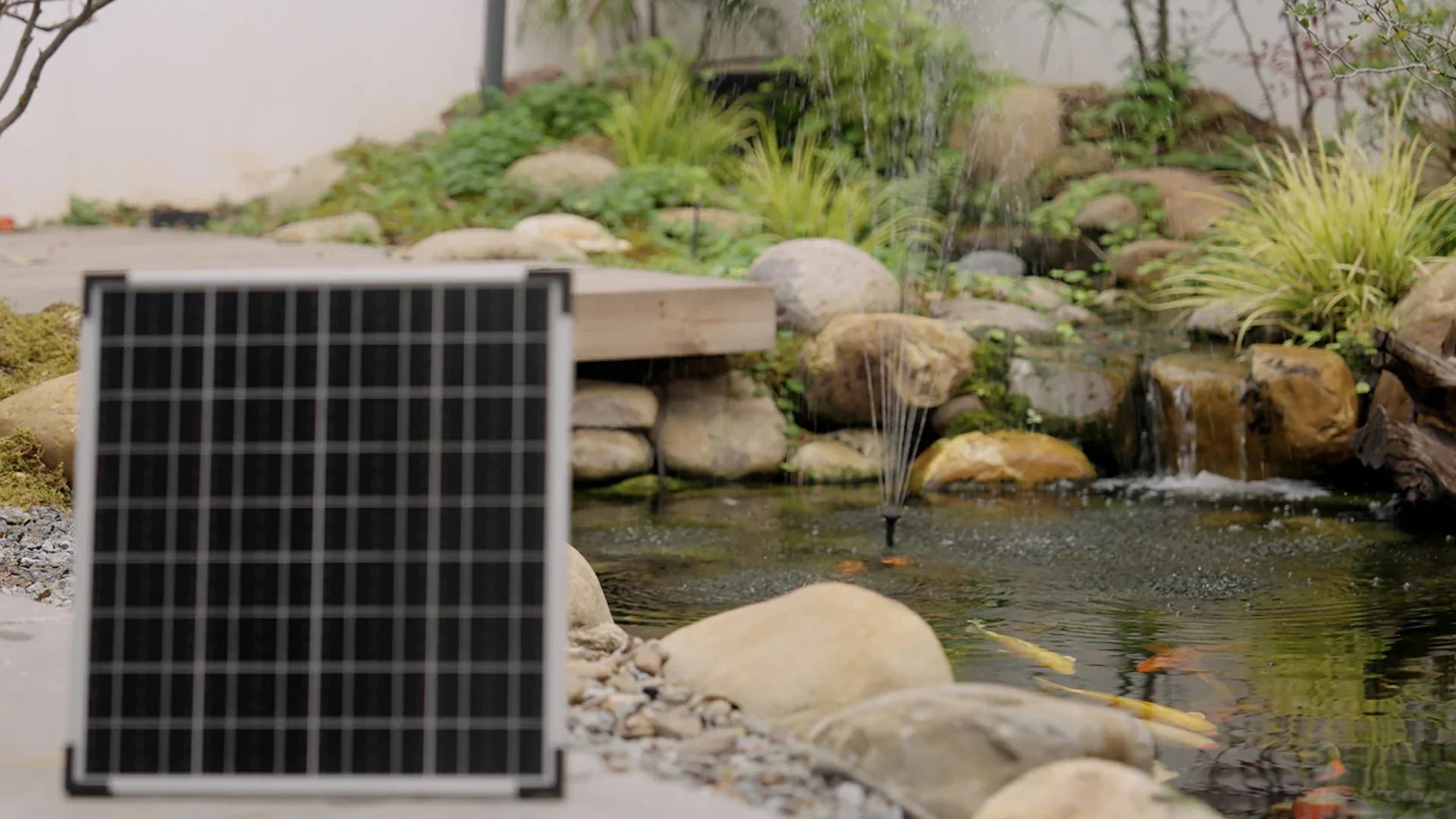 How to Choose a Solar Fountain Pump: Expert Buying Guide